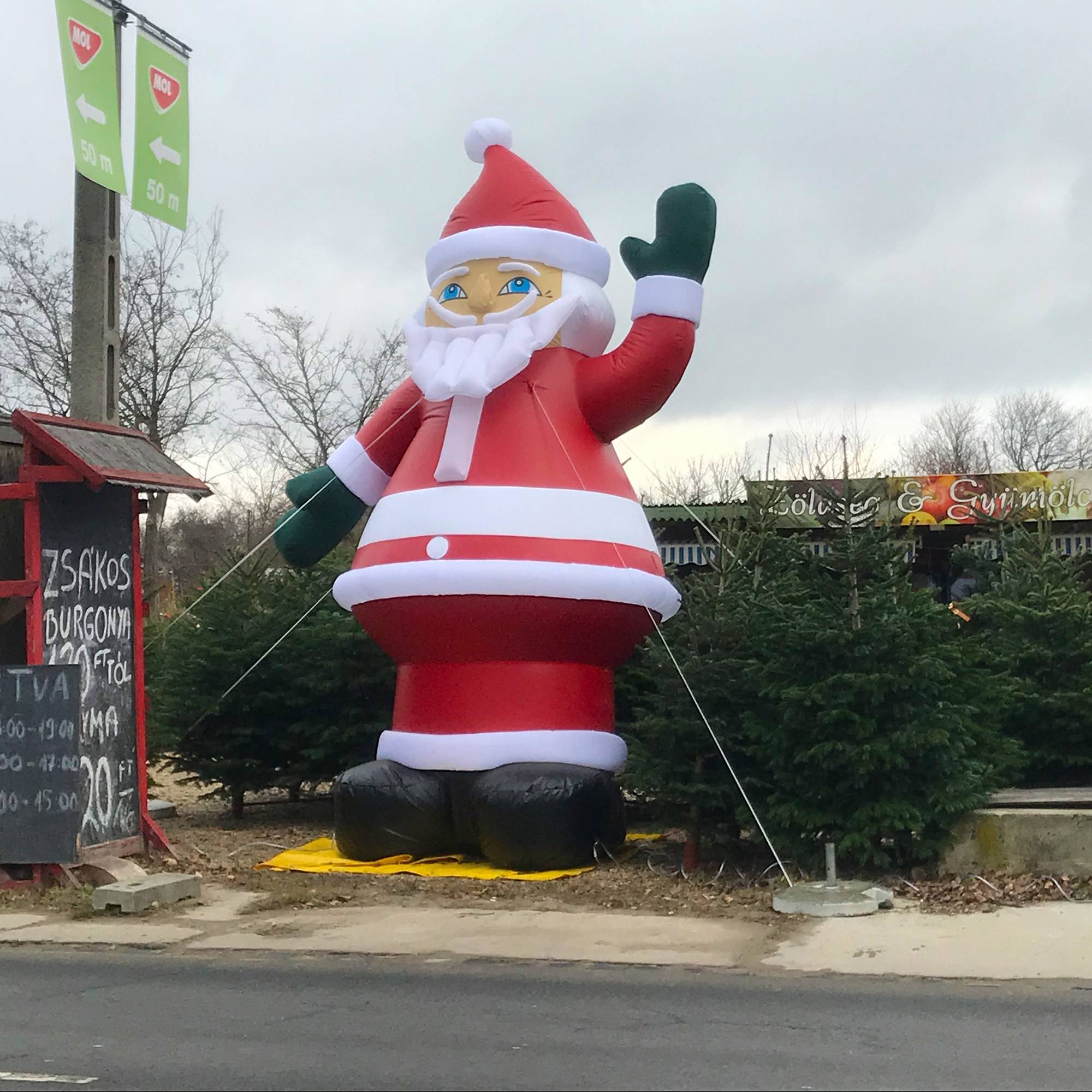 🎅Giant Santa